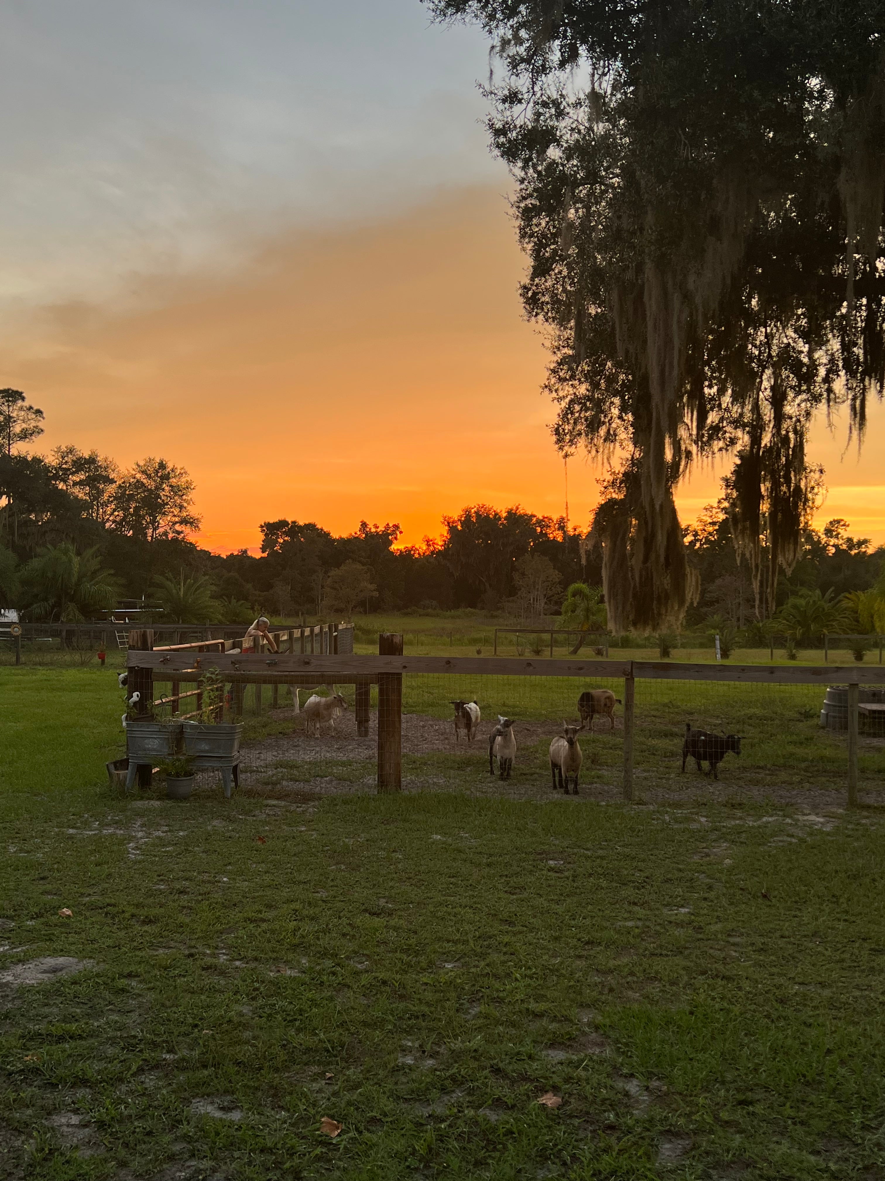 Forge on the Farm Classes